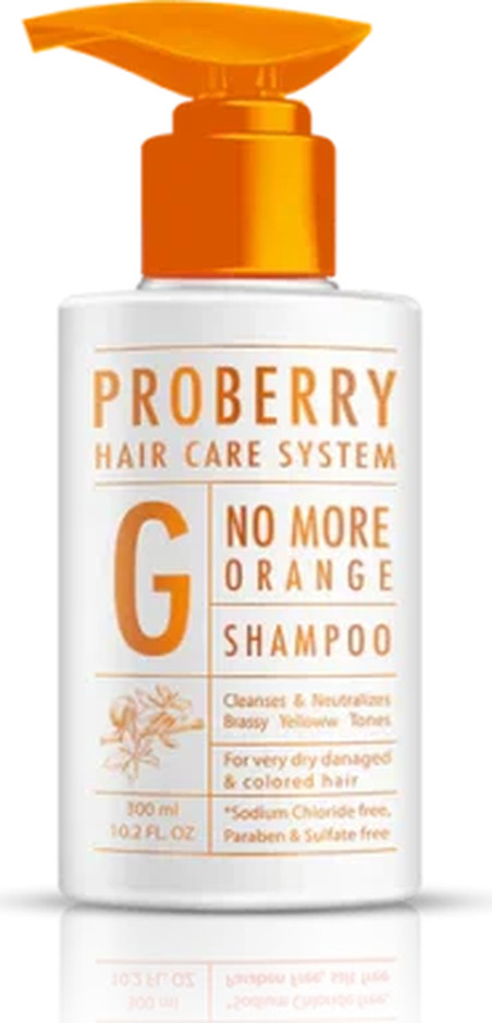 ‫Proberry - פרוברי שמפו NO ORANGE לנטרול הגוון הכתום 300ML PROBERRY ...