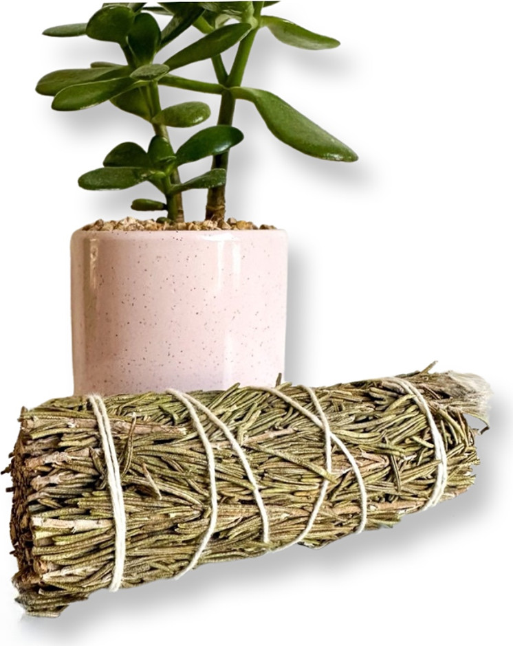 ‫Ronari - רוזמרין אורגני לטיהור | סופר-פארם‬