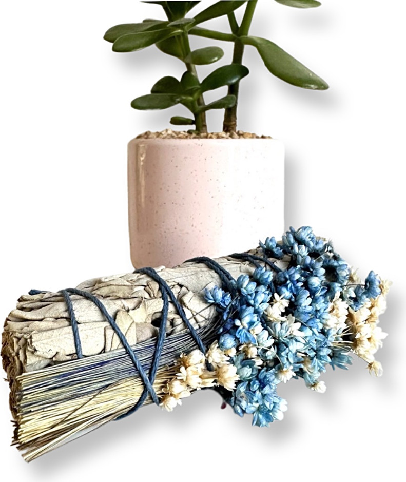 ‫Ronari - מרווה לבנה ופרחי בר כחול לטיהור | סופר-פארם‬