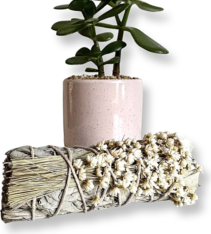 ‫Ronari - מרווה לבנה ופרחי בר לבן לטיהור | סופר-פארם‬