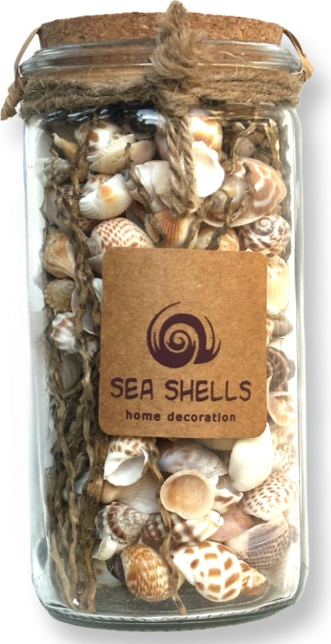 ‫Ronari - צנצנת צדפות מעוצבת | סופר-פארם‬