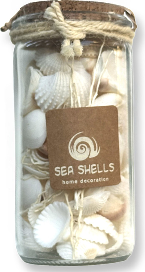 ‫Ronari Home - צנצנת צדפות מעוצבת | סופר-פארם‬