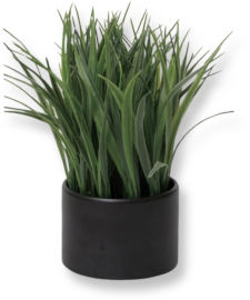 צמחים מלאכותיים | סופר-פארם