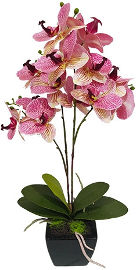 צמחים מלאכותיים | סופר-פארם